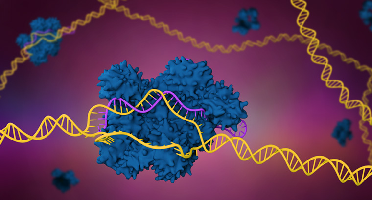 RACGP - What is CRISPR gene editing – and how does it work?
