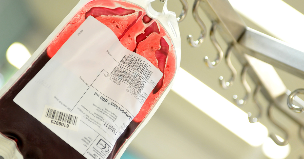 RACGP - GPs key to saving 73,000 bags of discarded blood