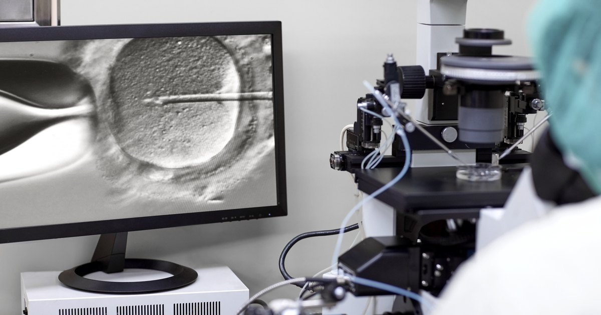 RACGP - IVF does not affect child development: Study