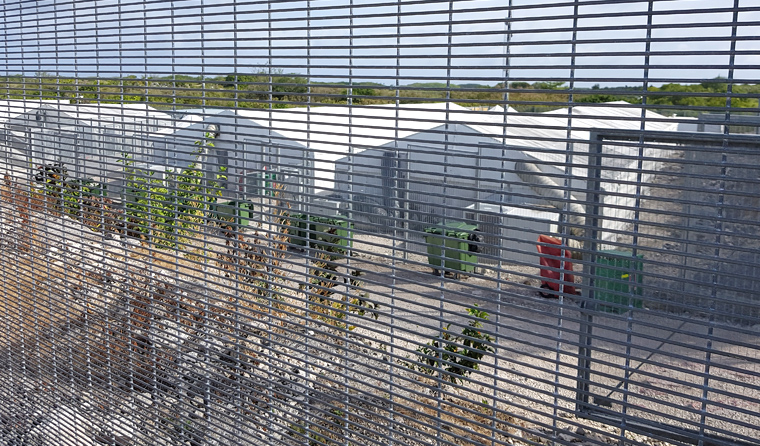 RACGP - Sydney GP ‘elated’ by news refugee dying on Nauru is receiving ...