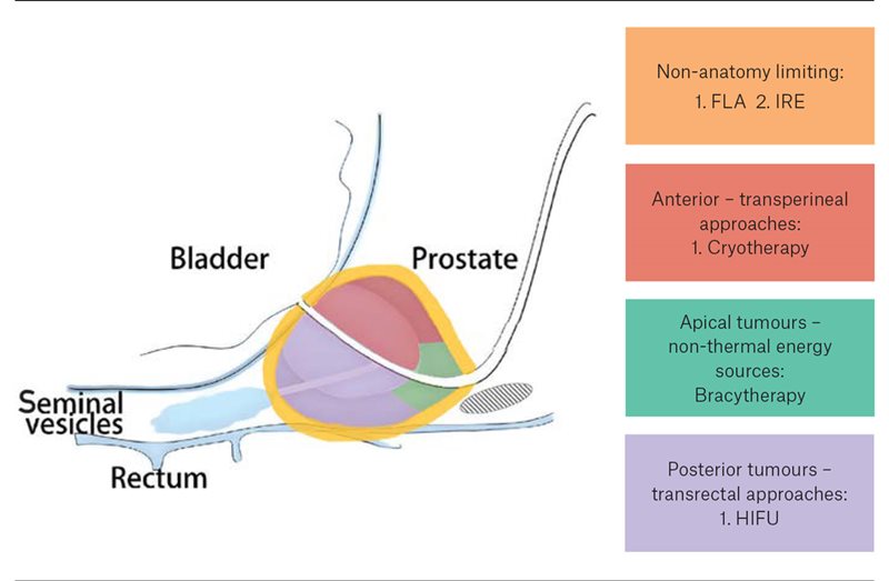 RACGP - AJGP (Australian Journal of General Practice)
