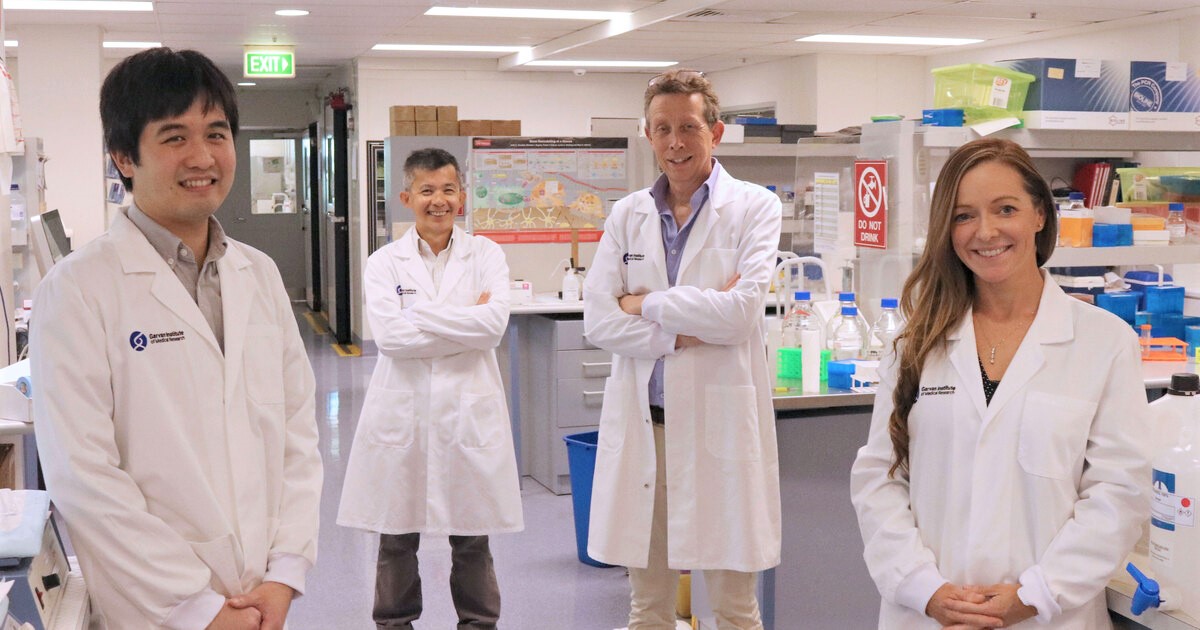 RACGP - Researchers ignite hope for new osteoporosis treatments