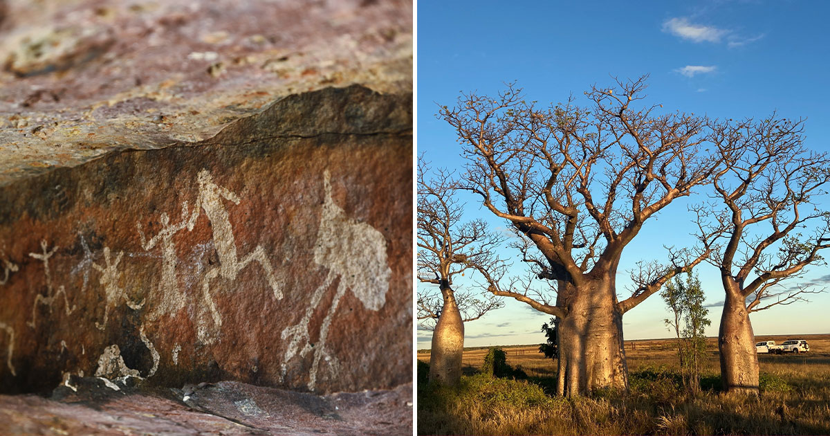 RACGP - Winner of ‘This Rural Life’ photo competition announced