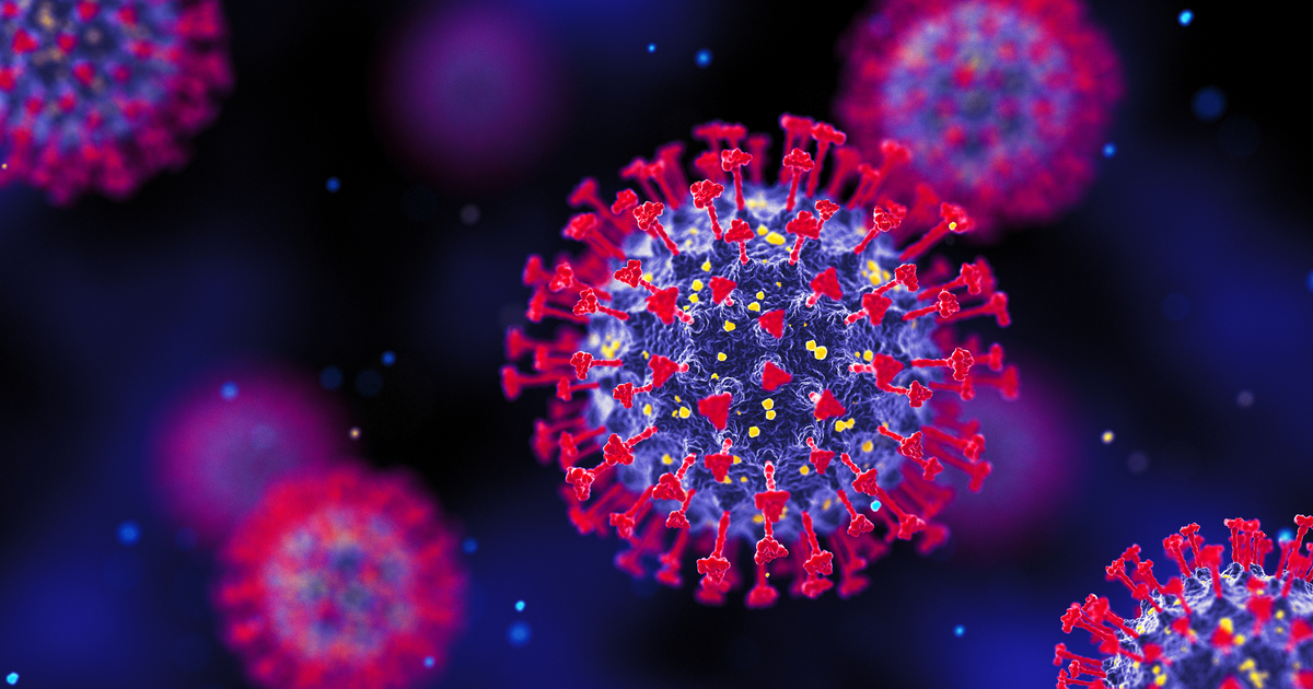 RACGP - Why the emergence of JN.1 is significant