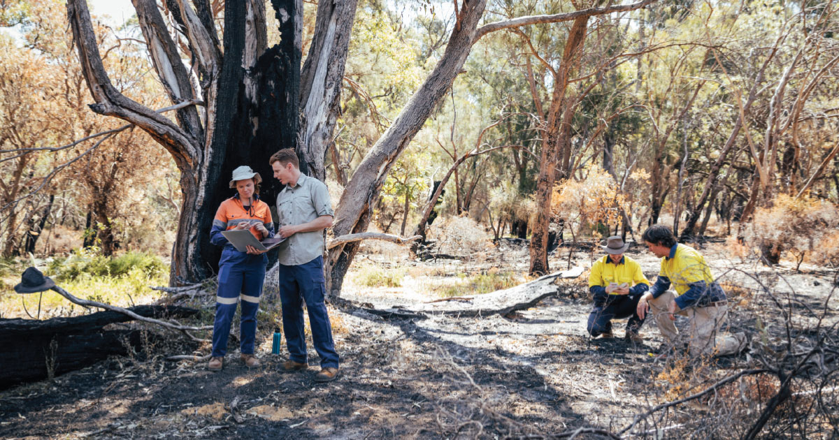 RACGP - AJGP (Australian Journal of General Practice)