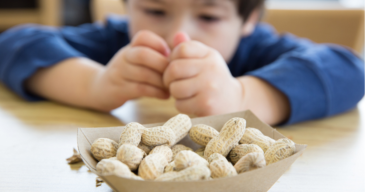 RACGP - New treatments found to induce peanut allergy remission in children
